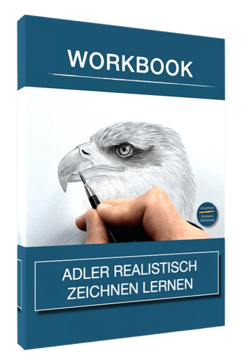 Adler zeichnen lernen – Realistisch Schritt für Schritt