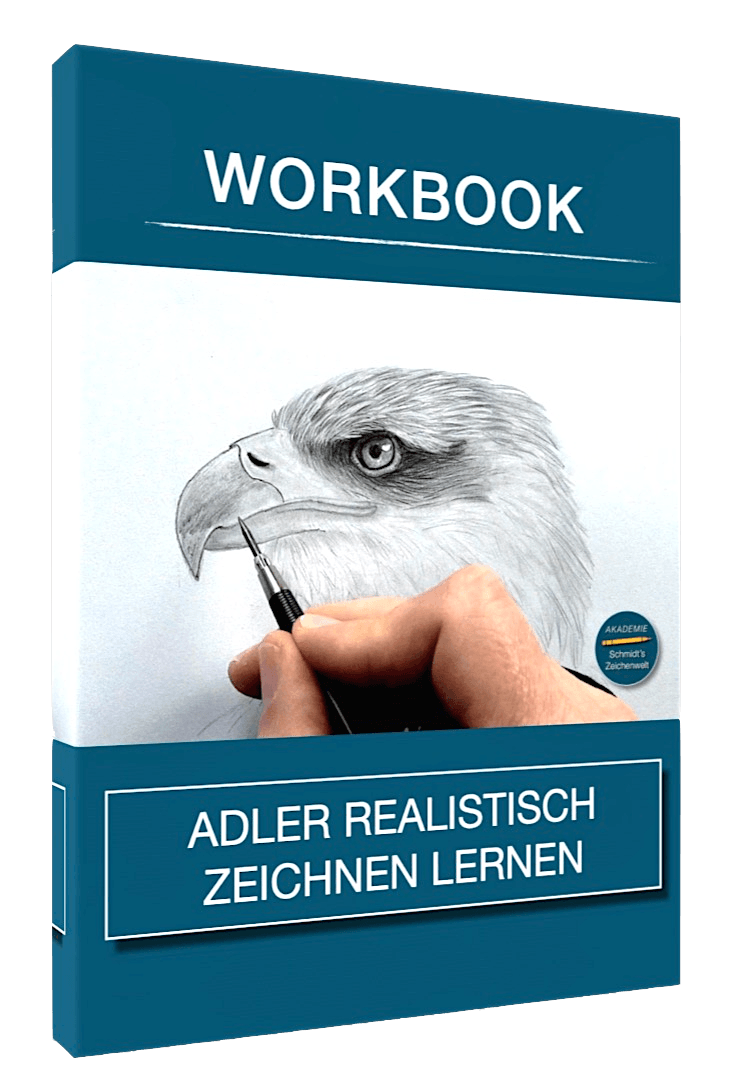 Adler zeichnen lernen – Realistisch Schritt für Schritt